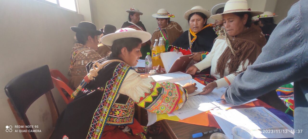 Las Mujeres Indígenas De Bolivia Levantan La Voz Contra La Violencia De